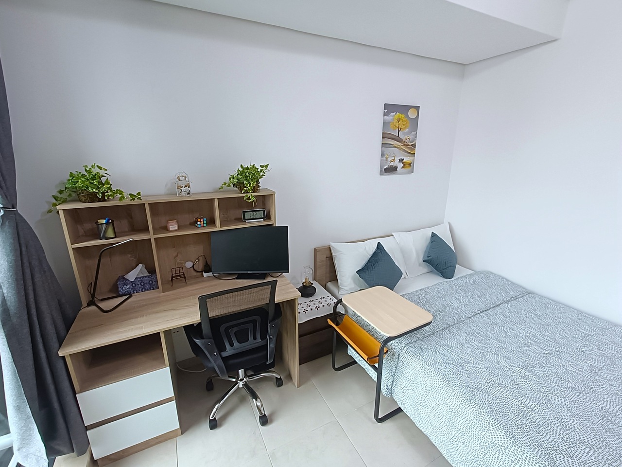 Shroom | Discover a Place You Will Love